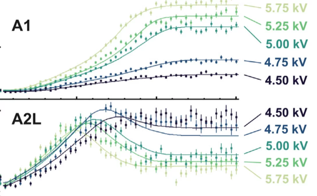 Demonstration of Muon-Beam Transverse Phase-Space Compression | PSI ...