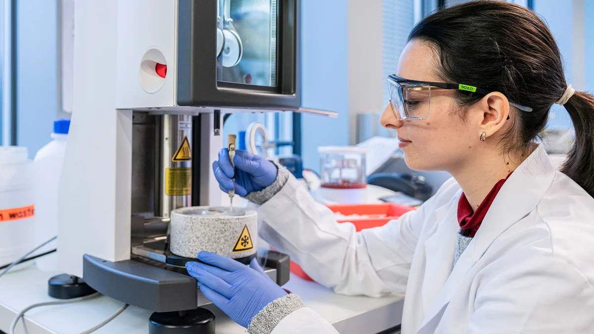 More insight into how vision works | News & Events | PSI