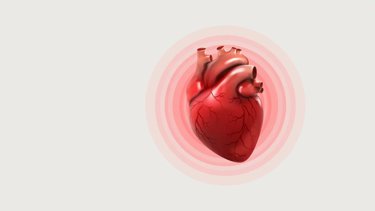 X-ray tomography helps understand how the heart beats | News & Events | PSI