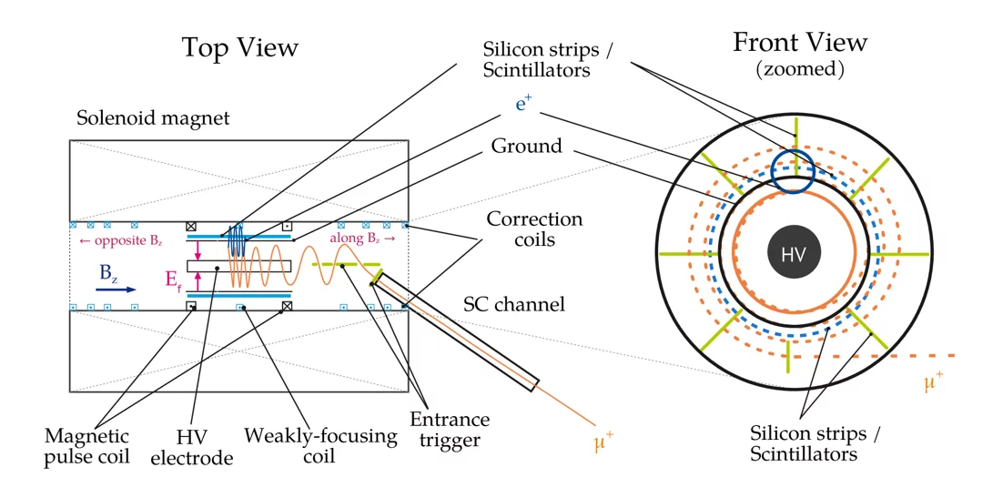 Anomalous spin precession systematic effects in the search for a muon ...