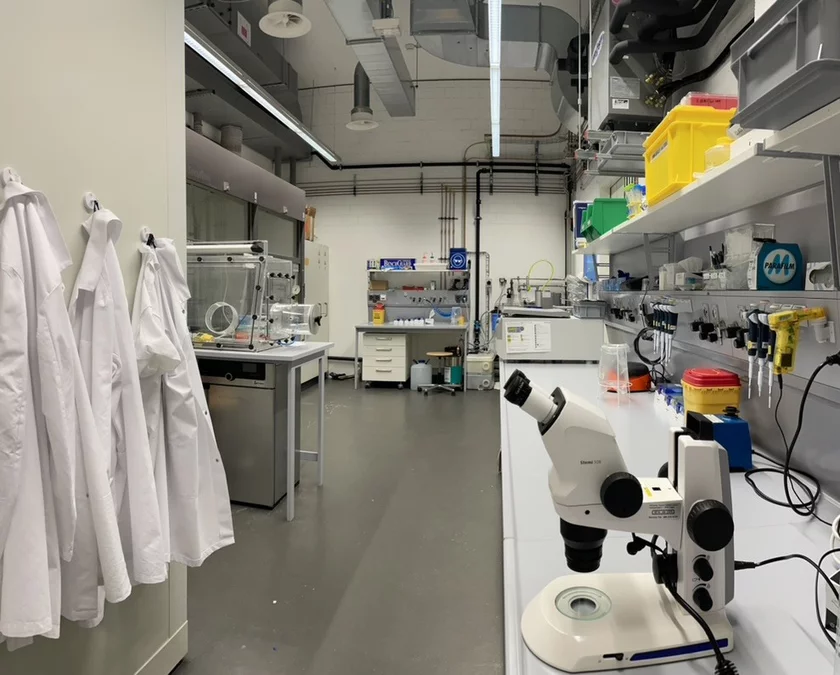 Equipment in the SwissFEL Chemistry Laboratory | SwissFEL Chemistry ...