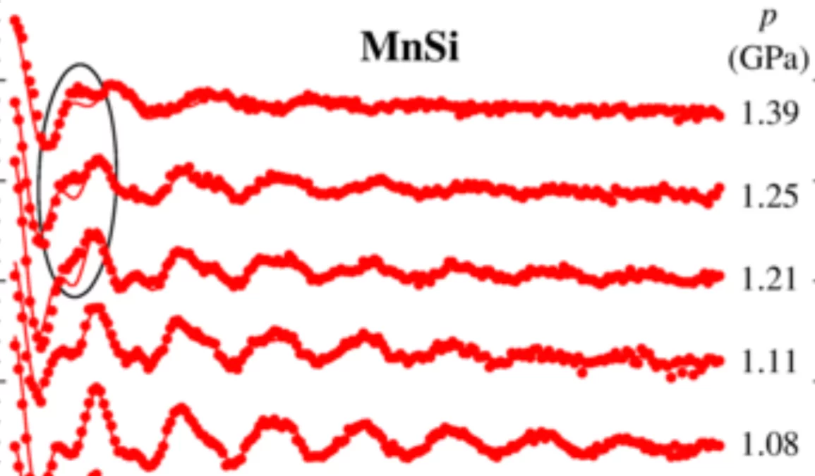 Origin of the Suppression of Magnetic Order in MnSi under Hydrostatic ...