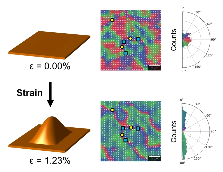 Designing antiferromagnetic domains by stretching membranes in STXM ...