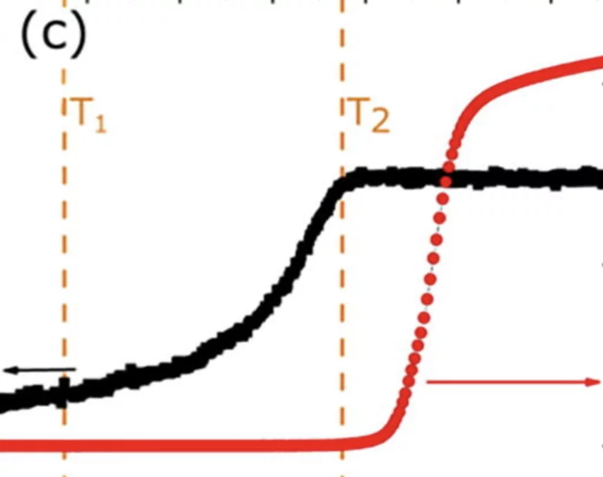 Observation of the out-of-plane magnetization in a mesoscopic ...