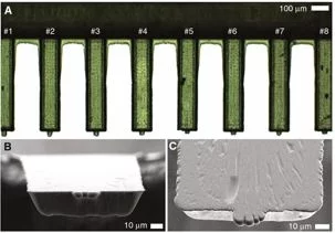 Microcantilever arrays for rapid biosensing | LXN | Paul Scherrer ...
