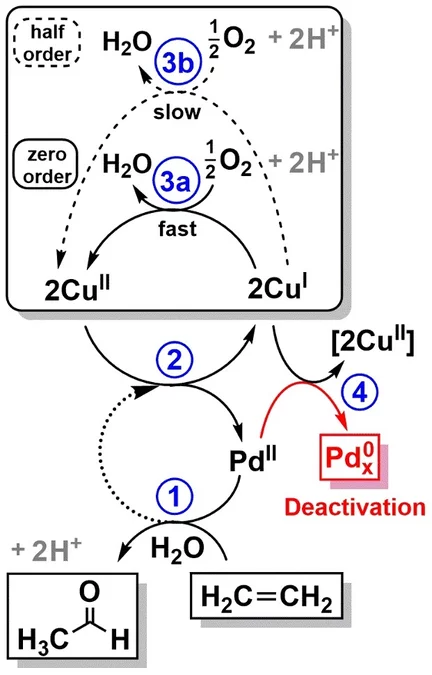 Elucidating the mechanism of heterogeneous Wacker oxidation over Pd-Cu ...
