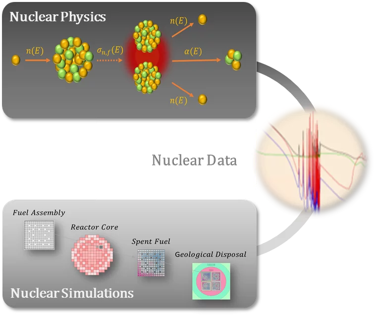 Nuclear Data – Towards a Stronger Link between Nuclear Physics and ...