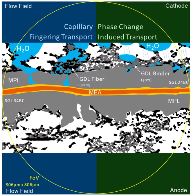 Temperature Dependent Water Transport Mechanism | Electrochemistry ...