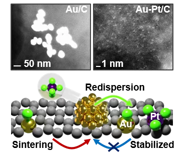 Sustainable Synthesis of Bimetallic Single Atom Gold-Based Catalysts ...