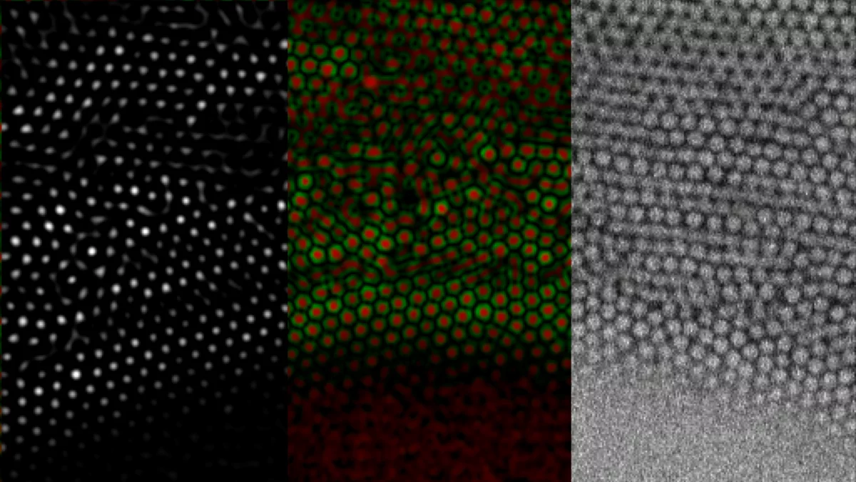 Automated Particle Detection Without The False Positives Num Paul 8903