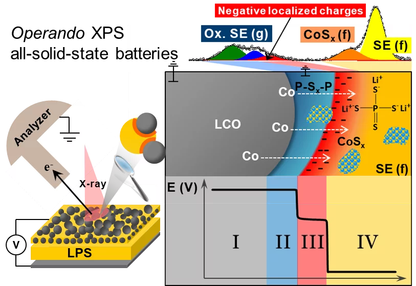 Reactivity-and-potential-profile-across-the-electrified-LiCoO2-Li3PS4 ...