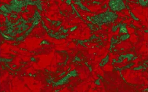 In Situ Alloying During Additive Manufacturing Smam Paul Scherrer Institut Psi 