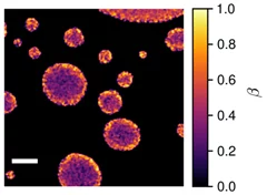 ENE-STXM | LAC | Paul Scherrer Institut (PSI)