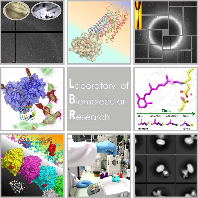 Laboratory of Biomolecular Research | LBR | Paul Scherrer Institut (PSI)