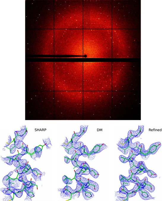 First protein structure solved | SwissFEL | Paul Scherrer Institut (PSI)